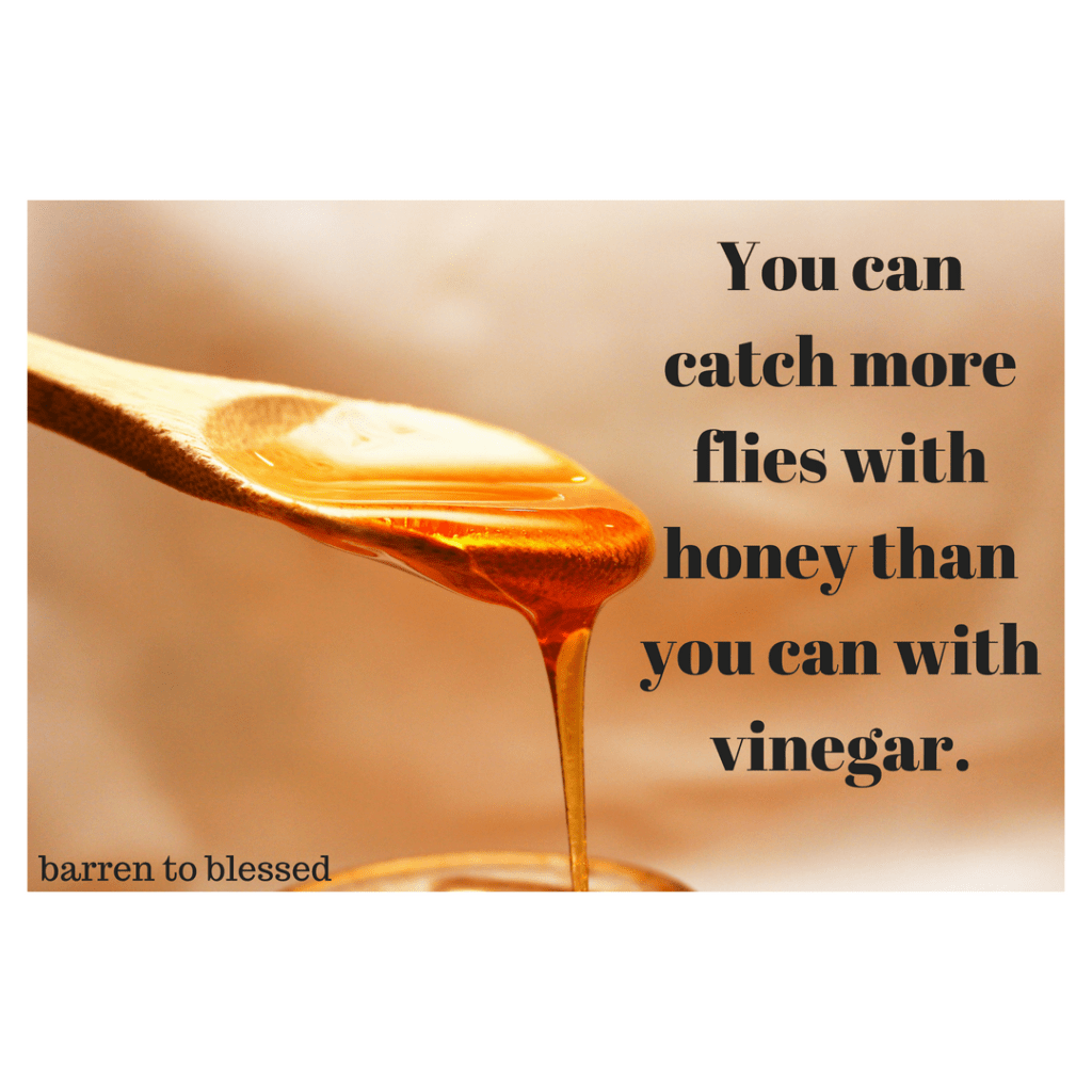 “You Can Catch More Flies With Honey.” – BARREN TO BLESSED