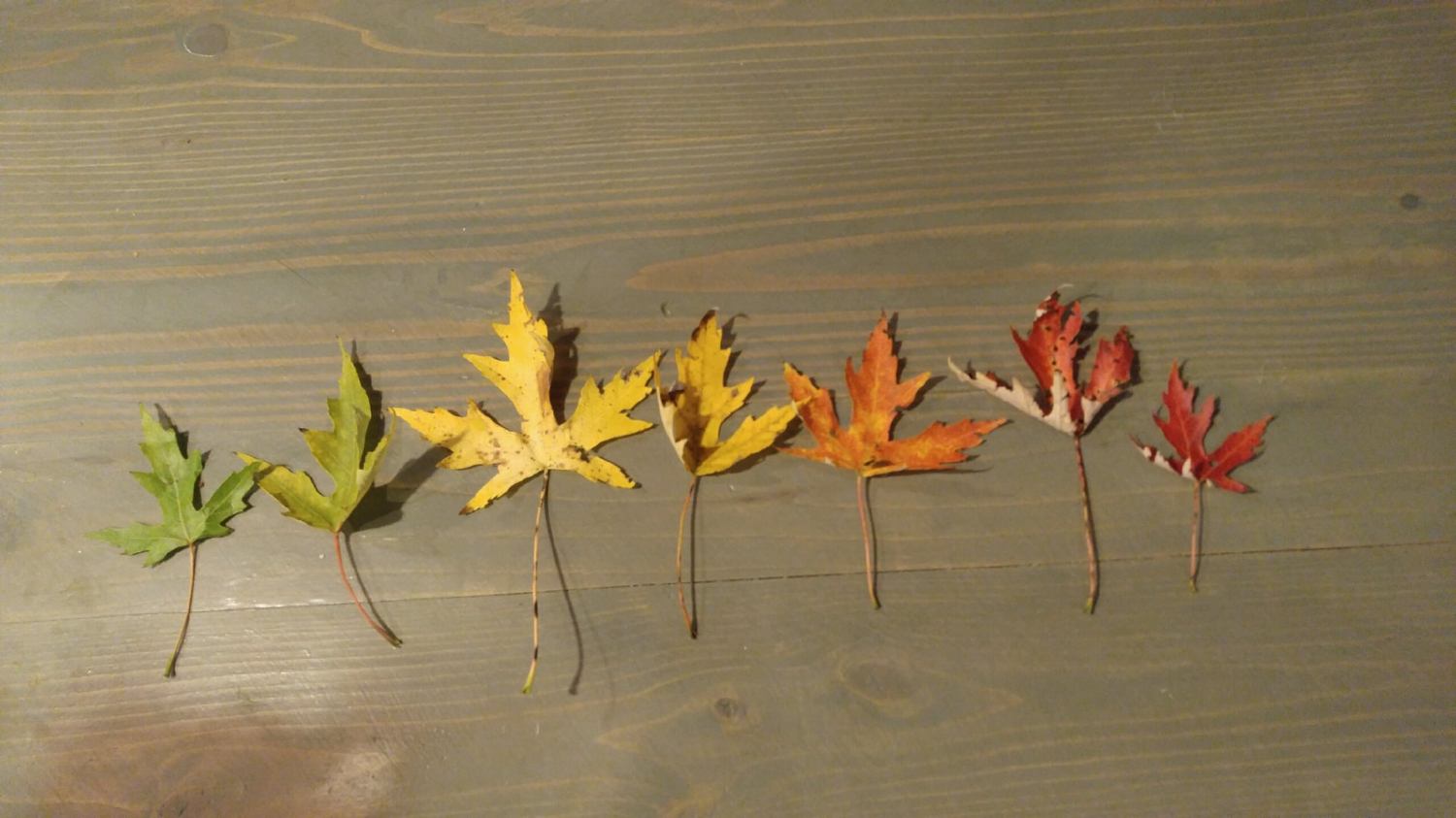 Seasons of Change (Life Lesson) – BARREN TO BLESSED